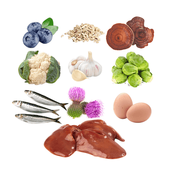 Dog-Safe Snacks: What Foods Are Rich in Glutathione? – Earth Buddy Pet