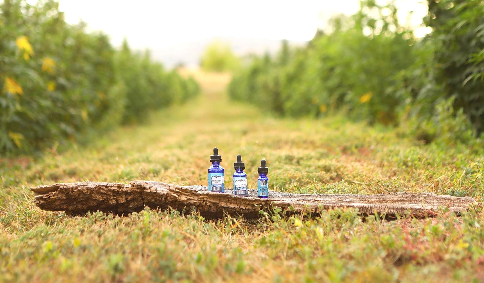 All Products – Earth Buddy Pet